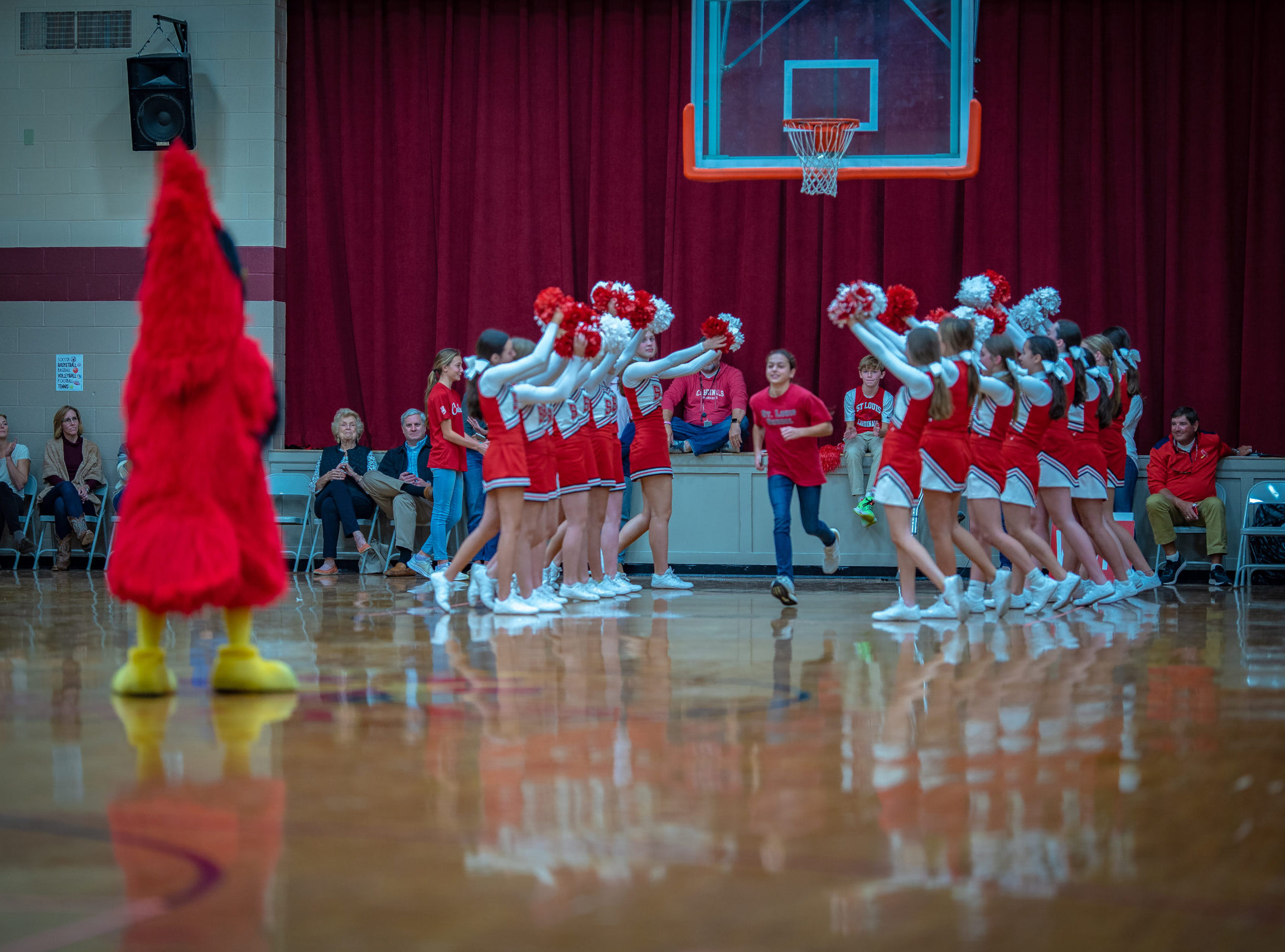 Programs - St. Louis Athletics